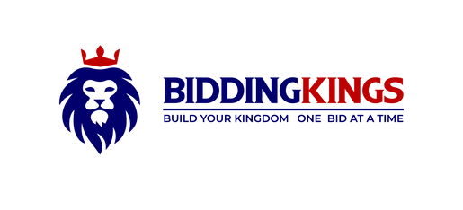 Electronics, Household Goods, Online Auction - Bidding Kings