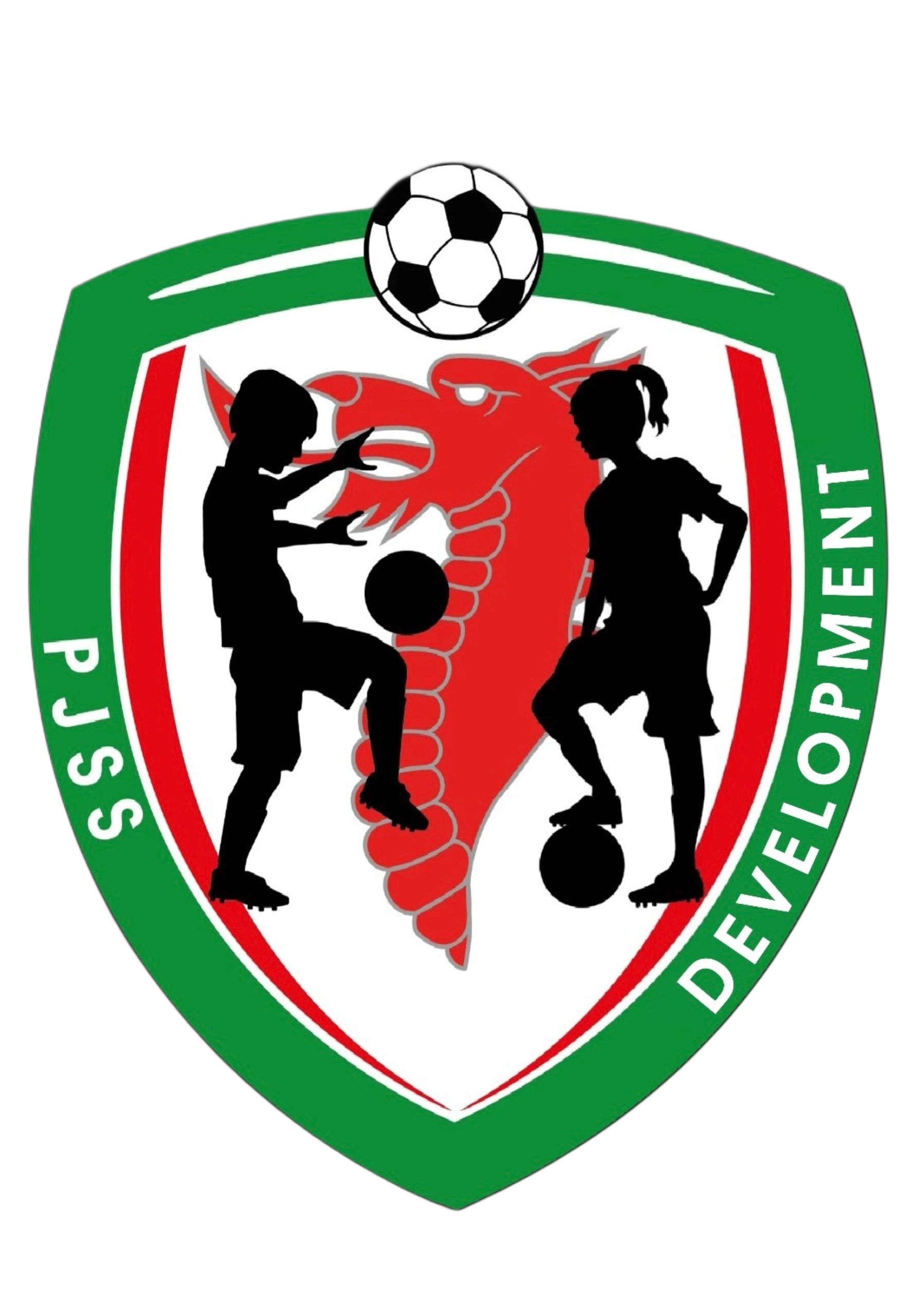 Professional Football Coaching and Training | PJSS Development