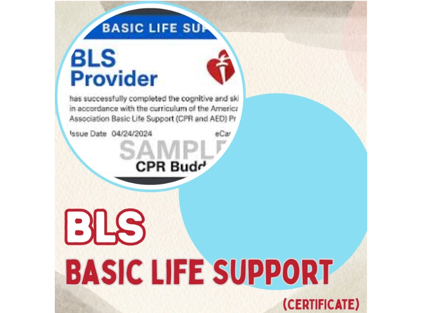 BLS PROVIDERS