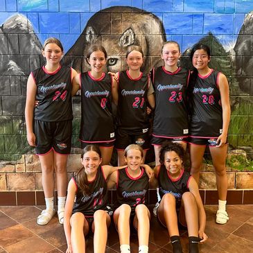 Minnesota Youth Basketball - Woodbury, Minnesota