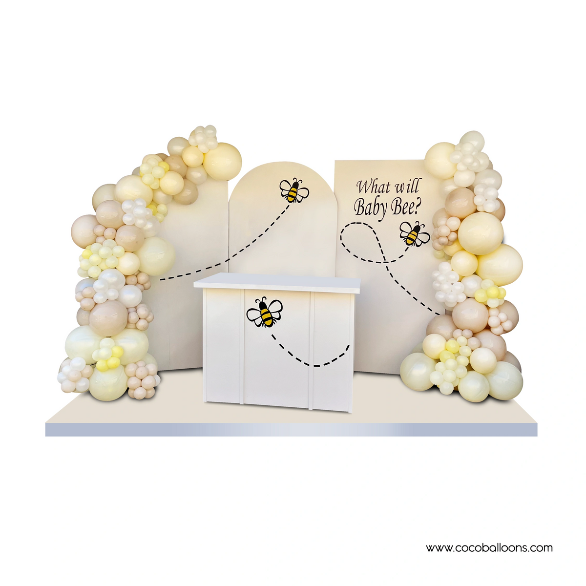 Baby Bee Set Party