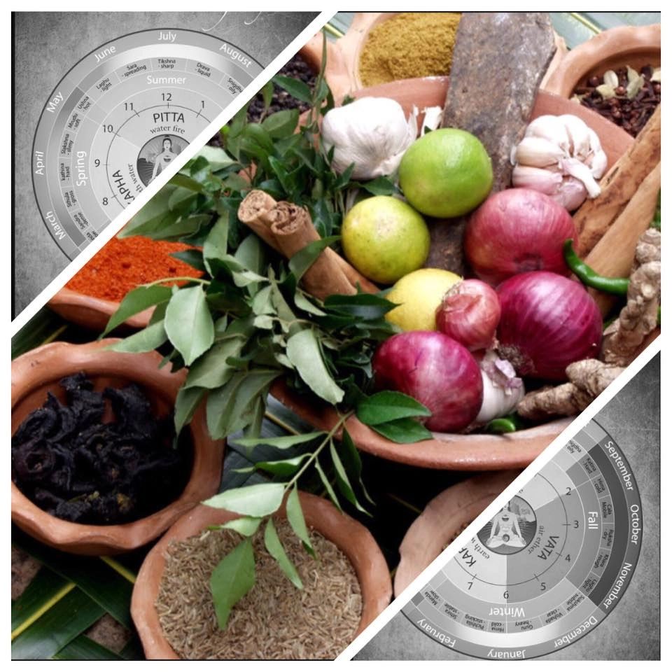Ayurveda | Taniateaches