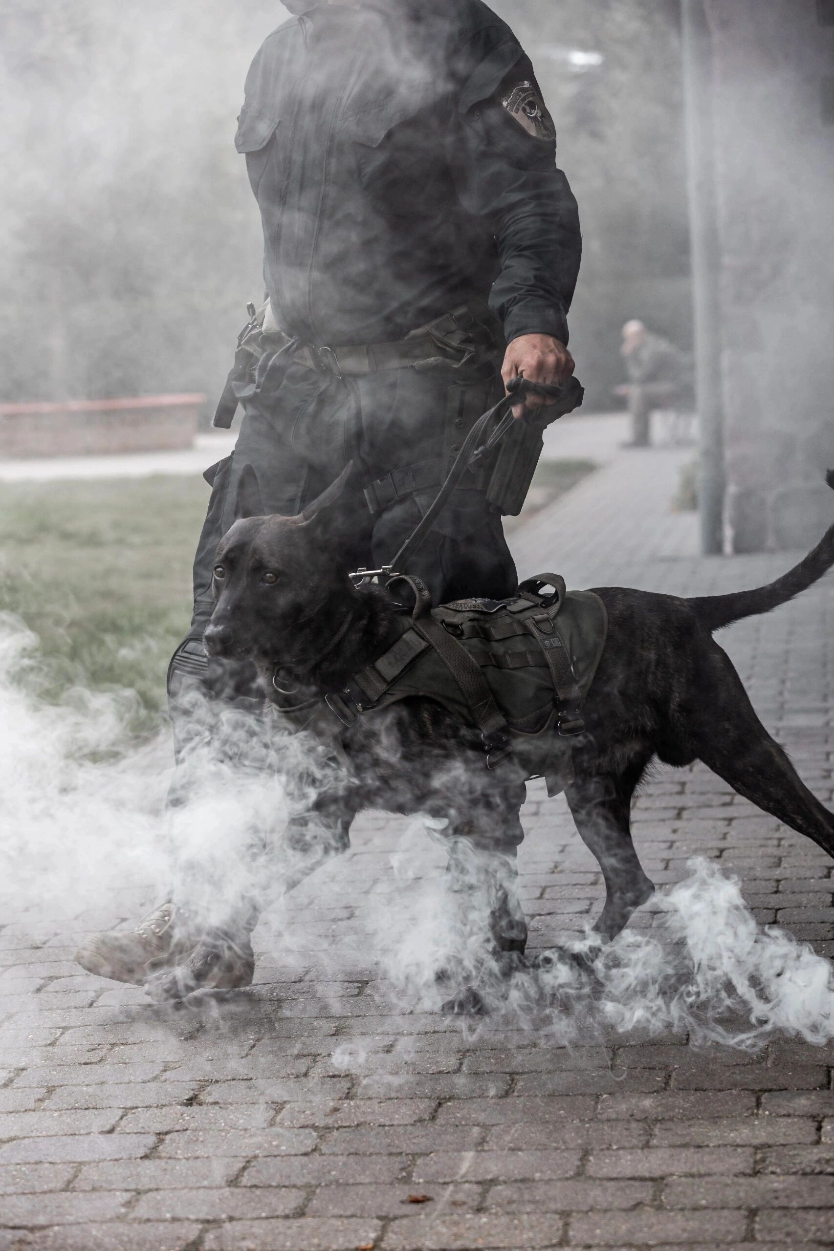 Training | Guardian K9