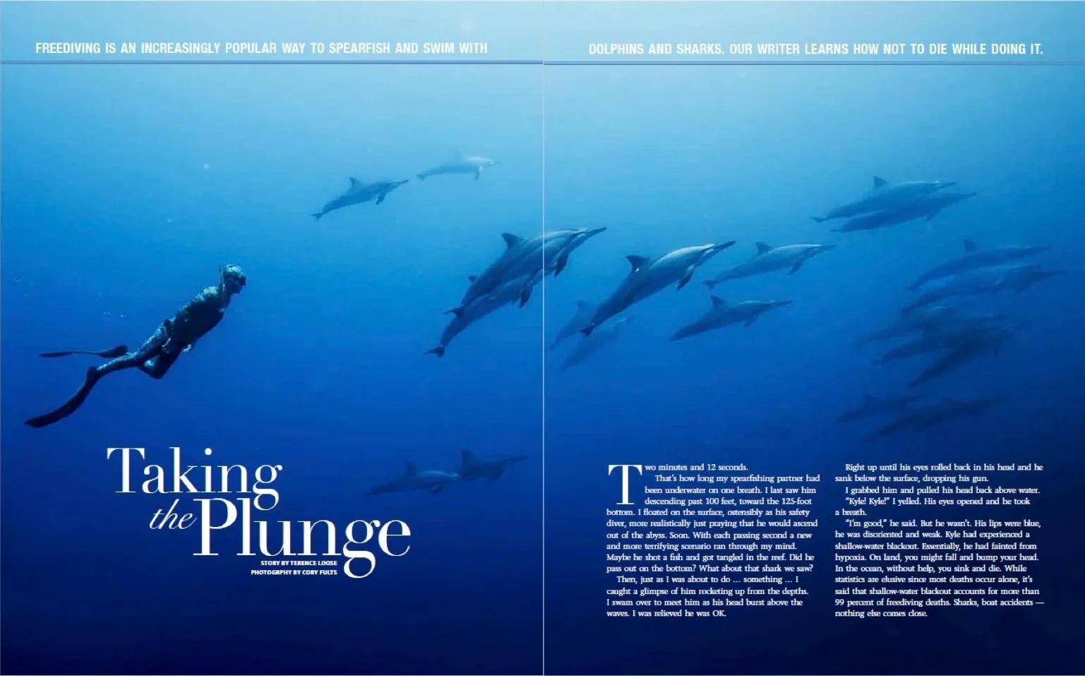 Tloose.com - Terence Loose / Terry Loose / Writer