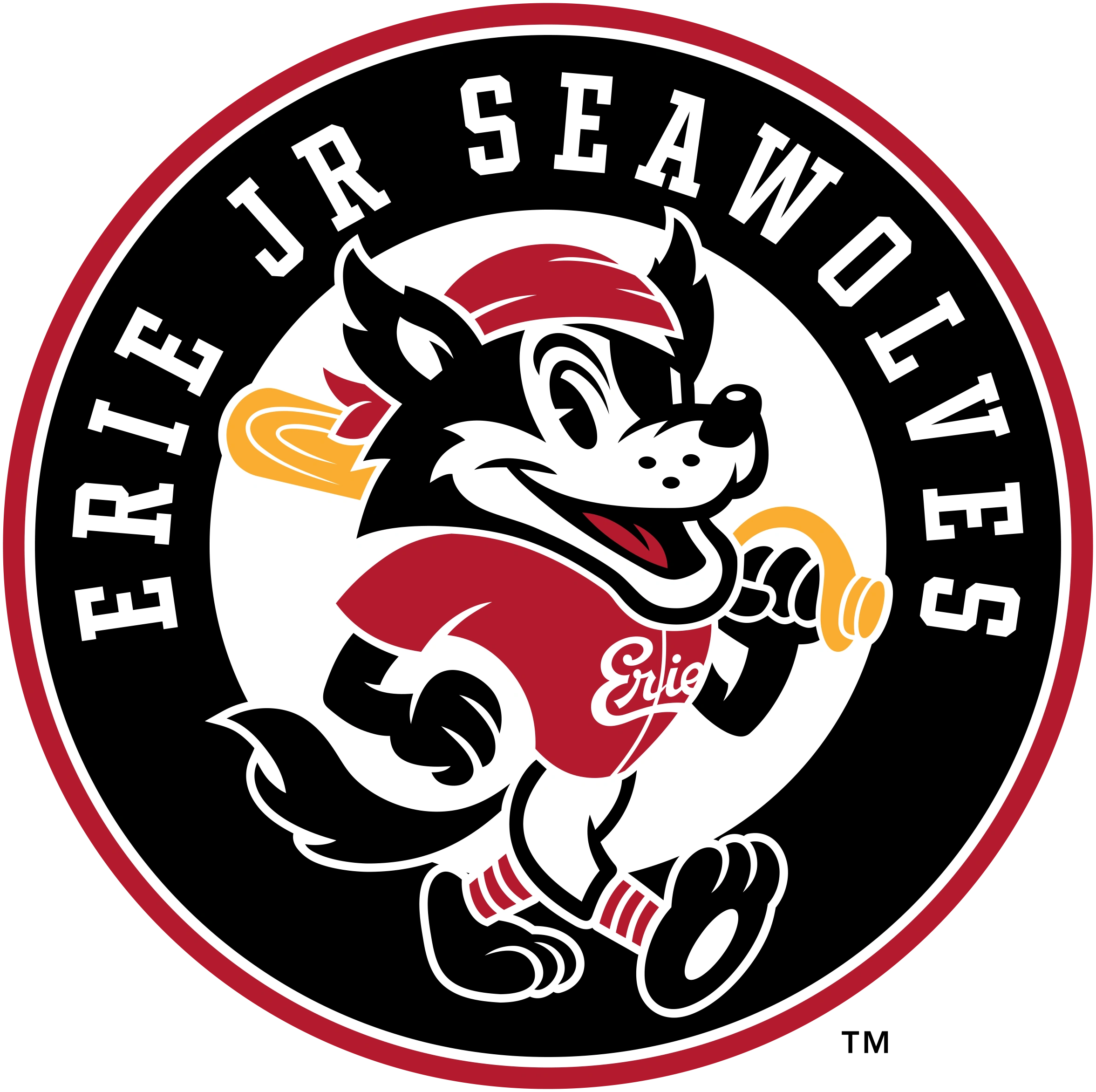Erie Jr SeaWolves