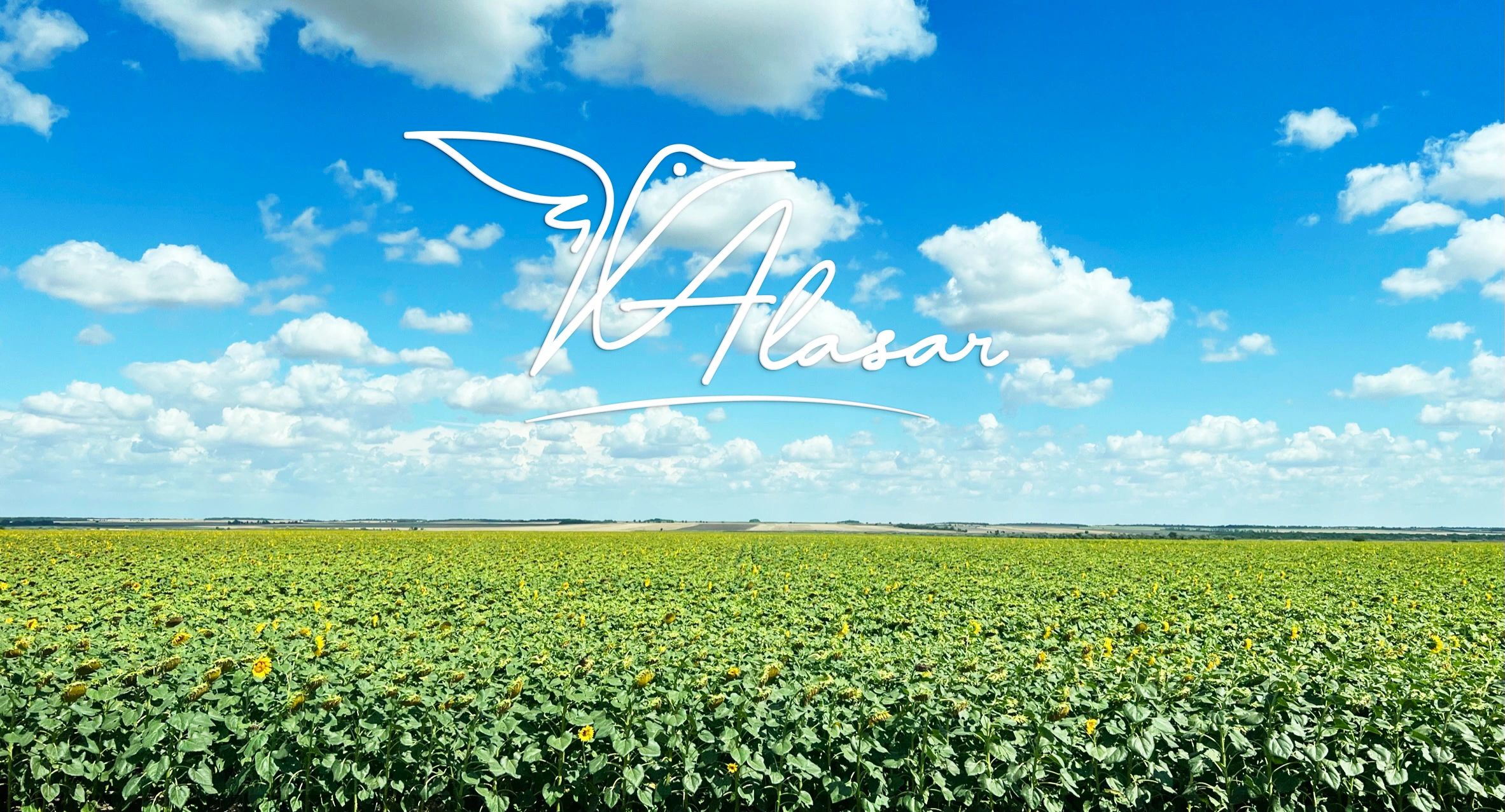 ALASAR
