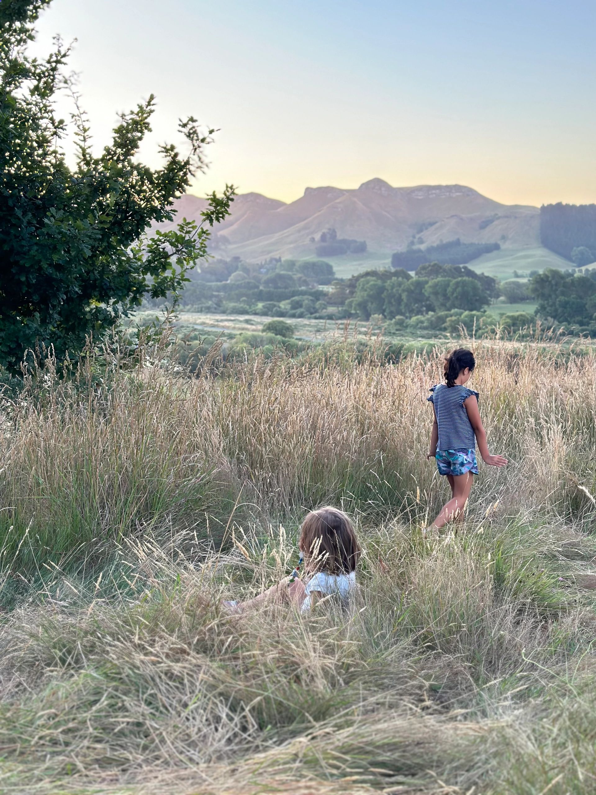 MY DETAILS | Equanimity Guide