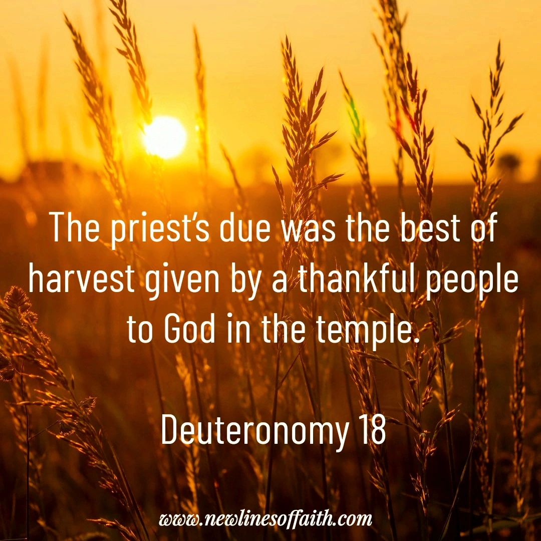 18 Deuteronomy Blessed by the Offering