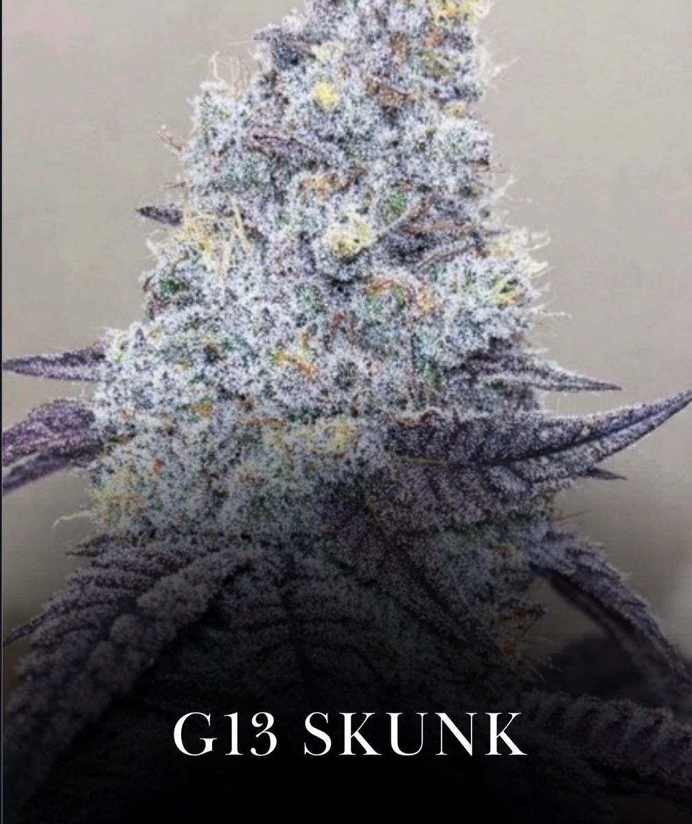 G13 Skunk