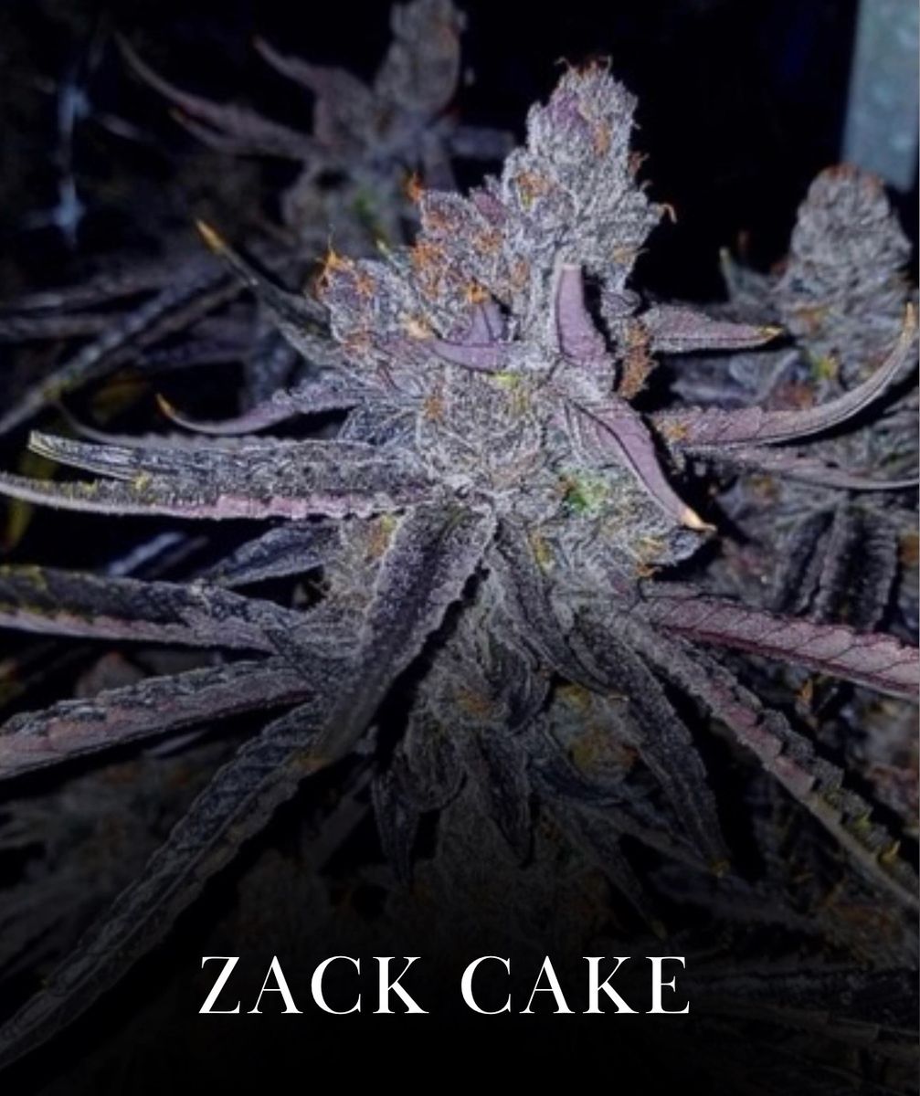 Zack Cake