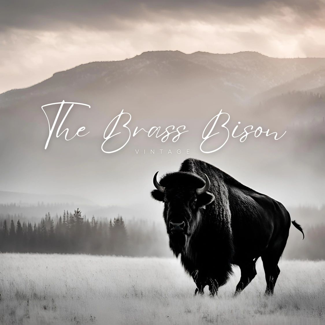 The Brass Bison