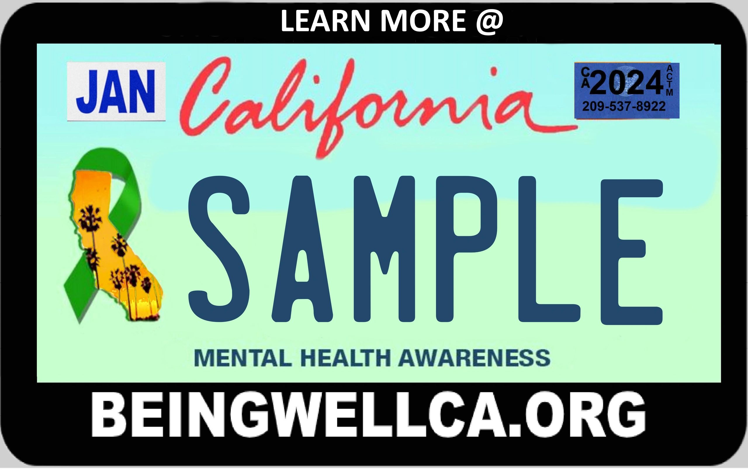 Mental Health Lic Plate