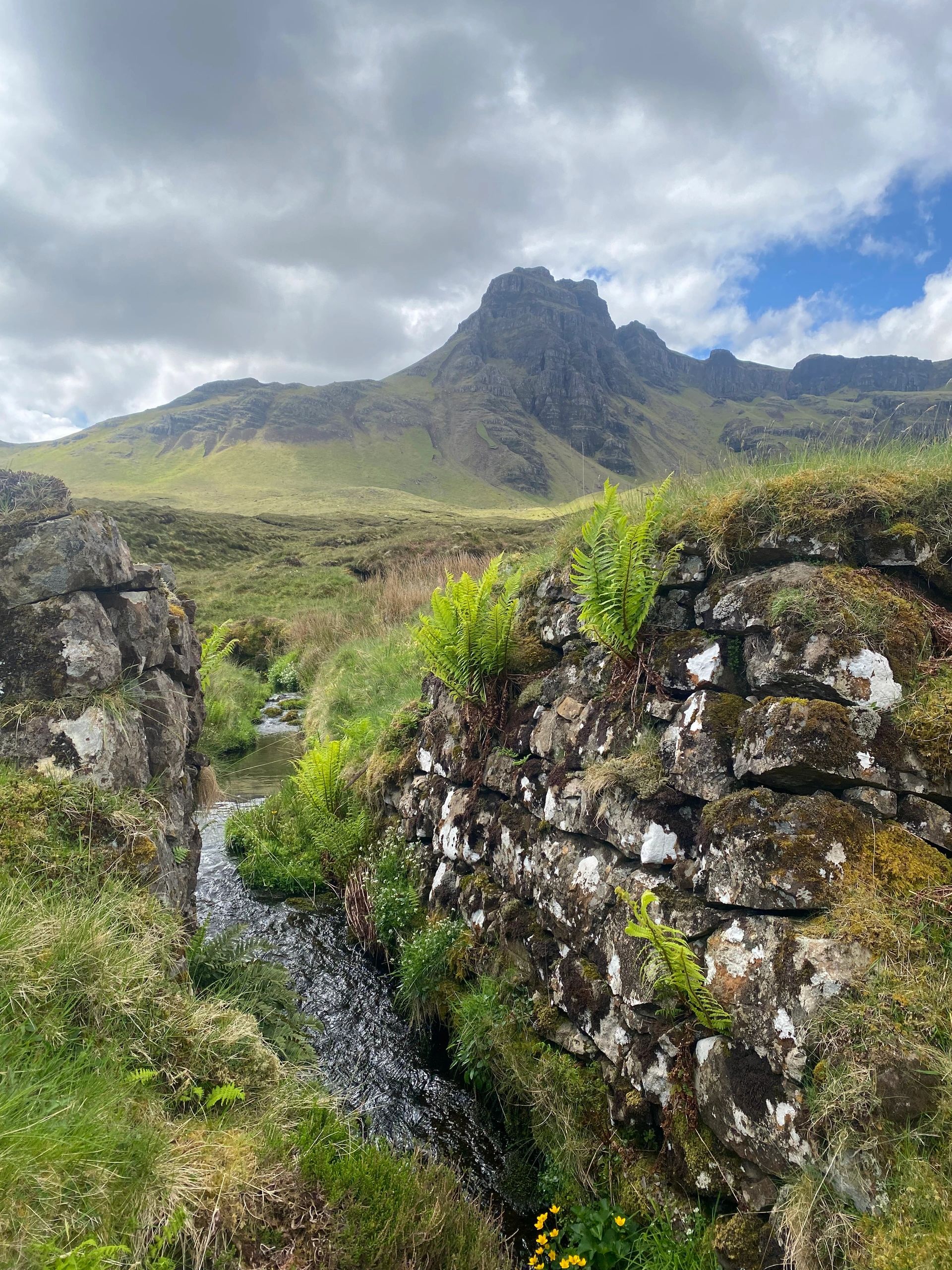 Islandscapes - Landscape gardener, Isle of Skye