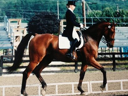 Dressage Instructor.com - Dressage, Instructor