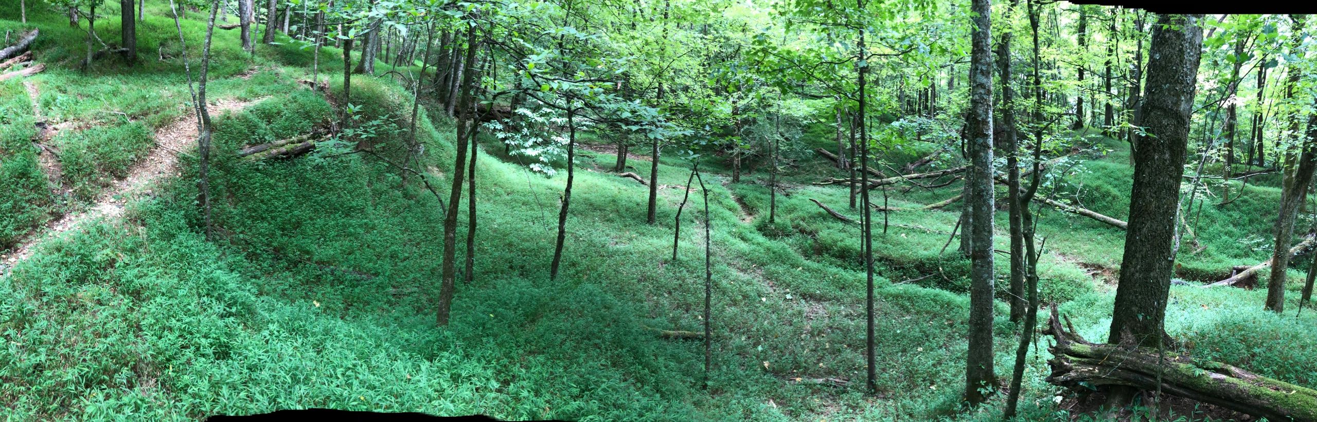 Fitzgerald Freedom Ranch