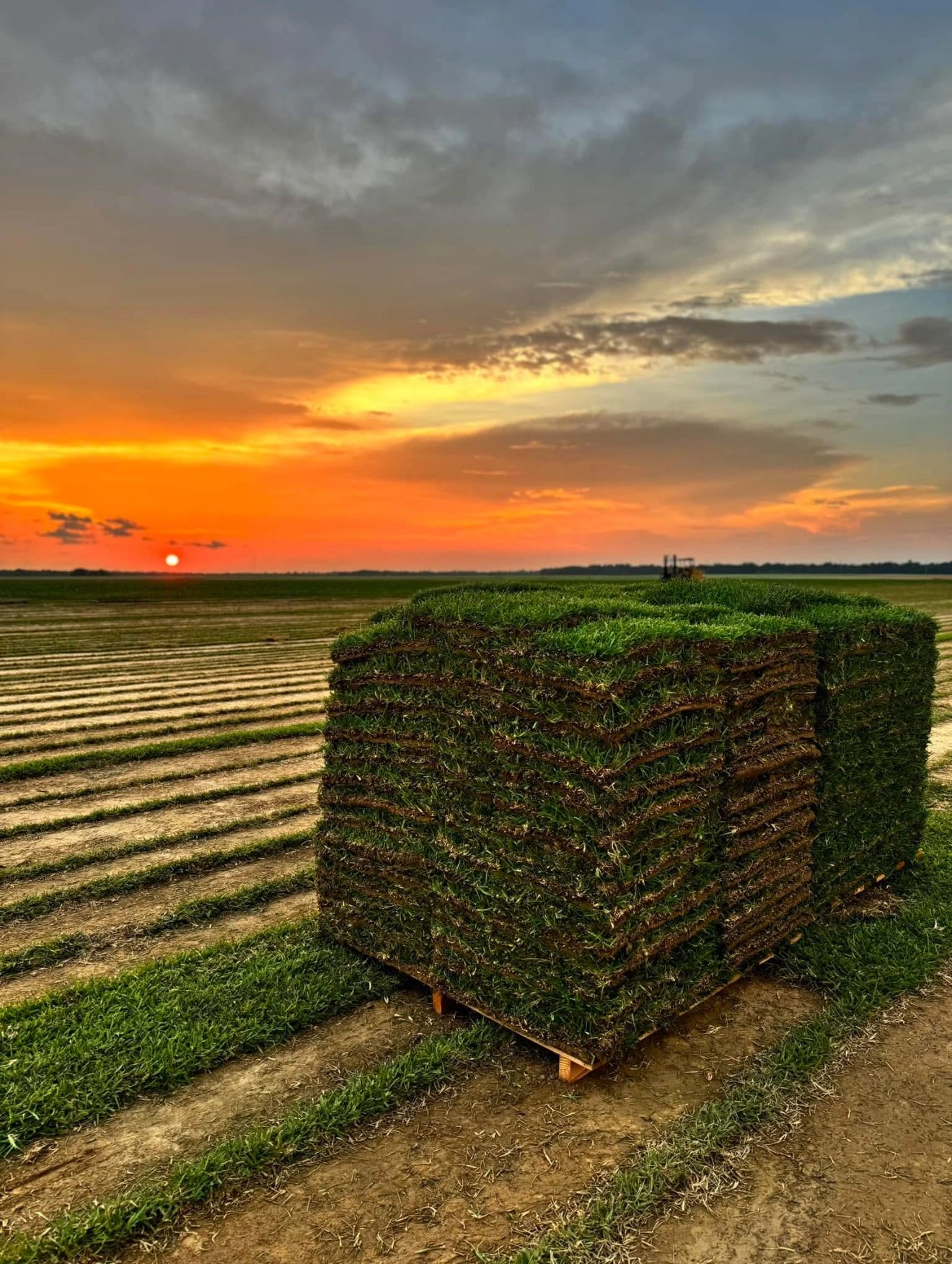 Sod for Sale - Quality Sod Pallets