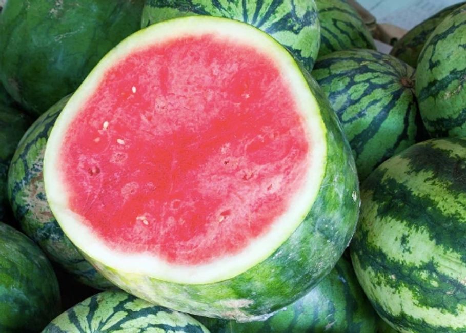 Watermelon Growers - Mar-Del Watermelon Association