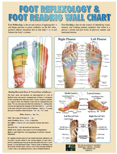 Foot Reflexology & Foot Reading Chart PDF