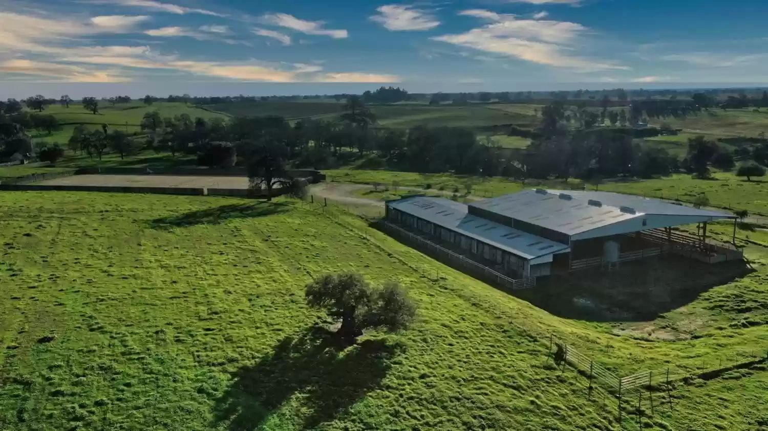 Serenity Stables Equine Retirement & Boarding