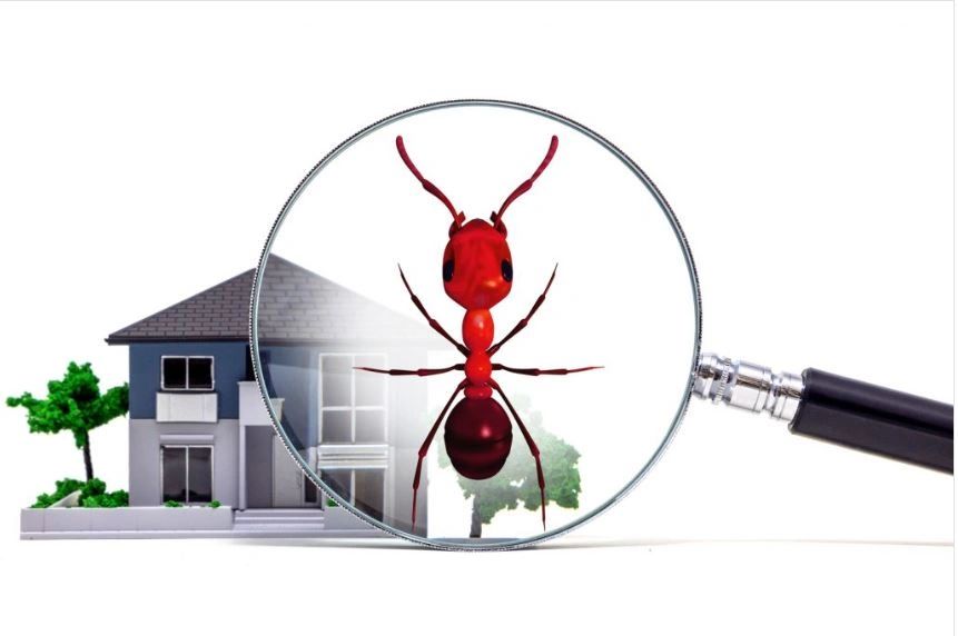 Peters Pest Patrol, LLC