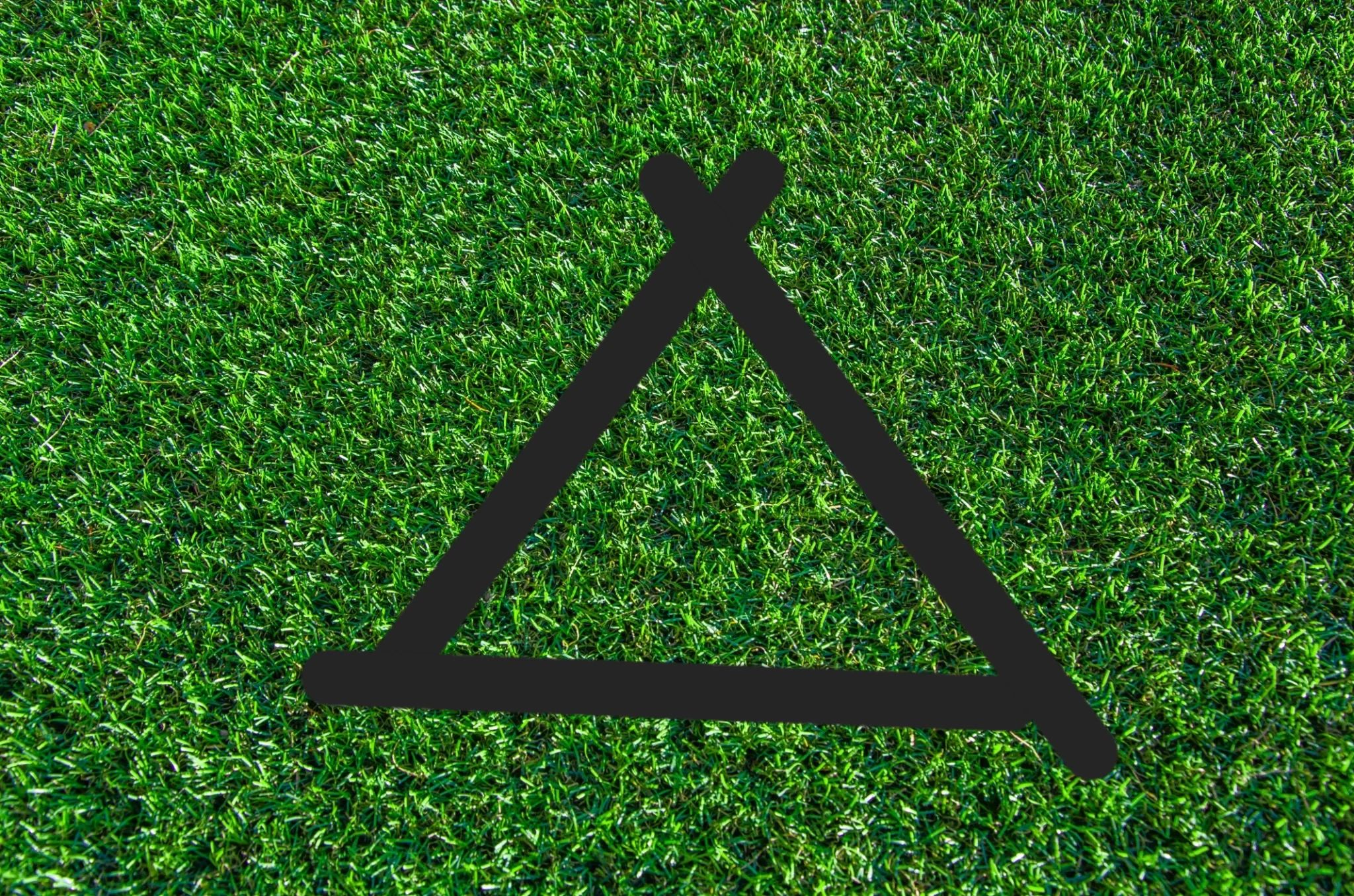 Expert Lawn Care Services | Triangle Landscapes