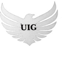 UNITED INSURANCE GROUP - Insurance, Trucking