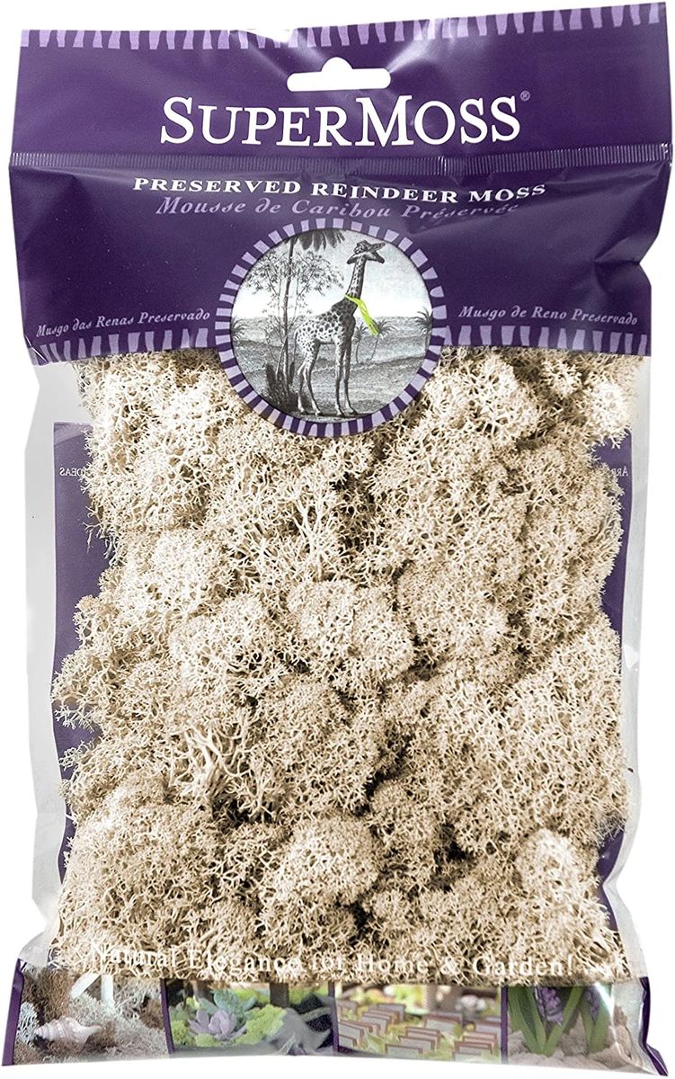 SuperMoss Natural, Super Reindeer Moss Preserved