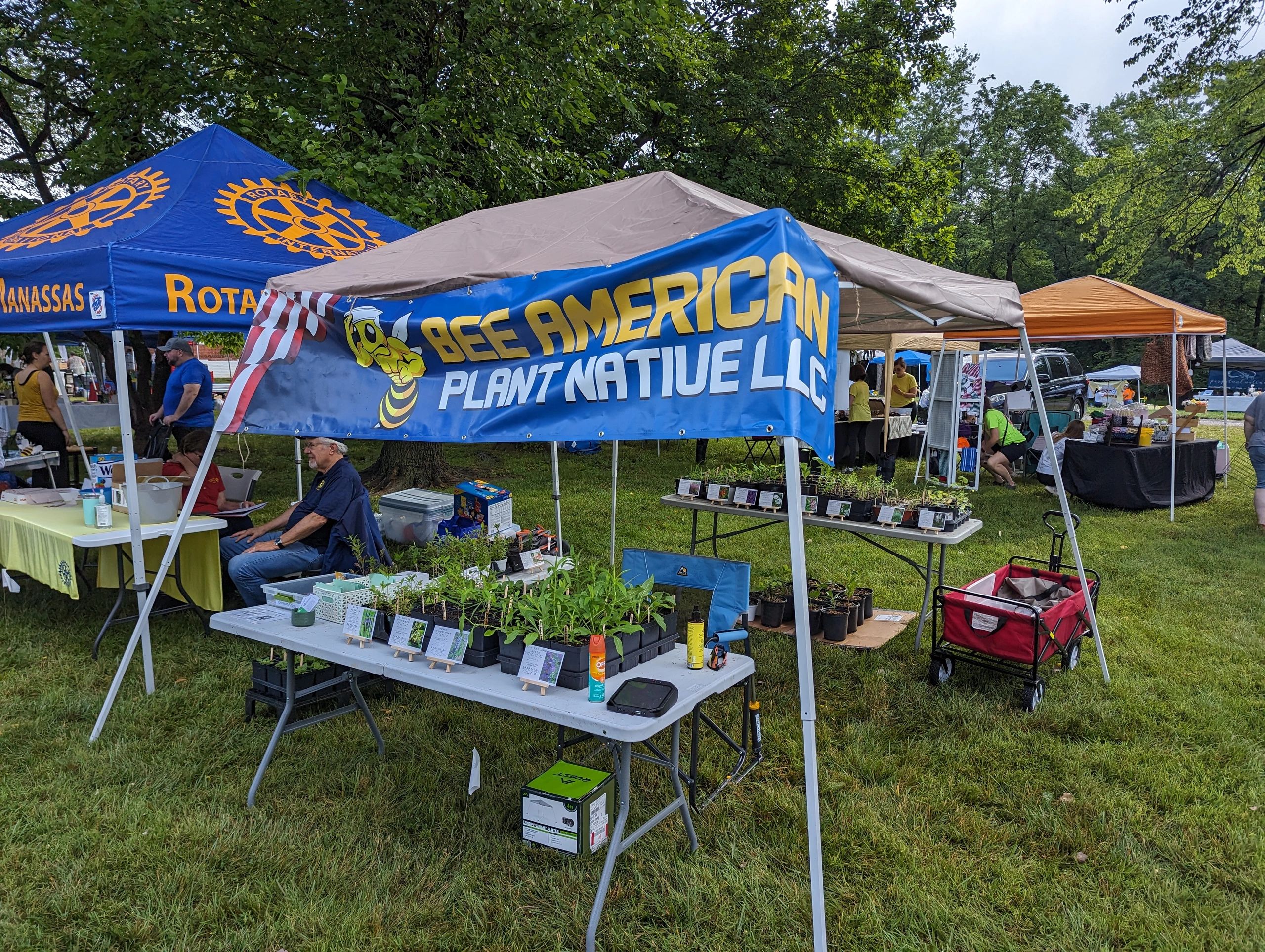 Manassas Bee Festival 2023