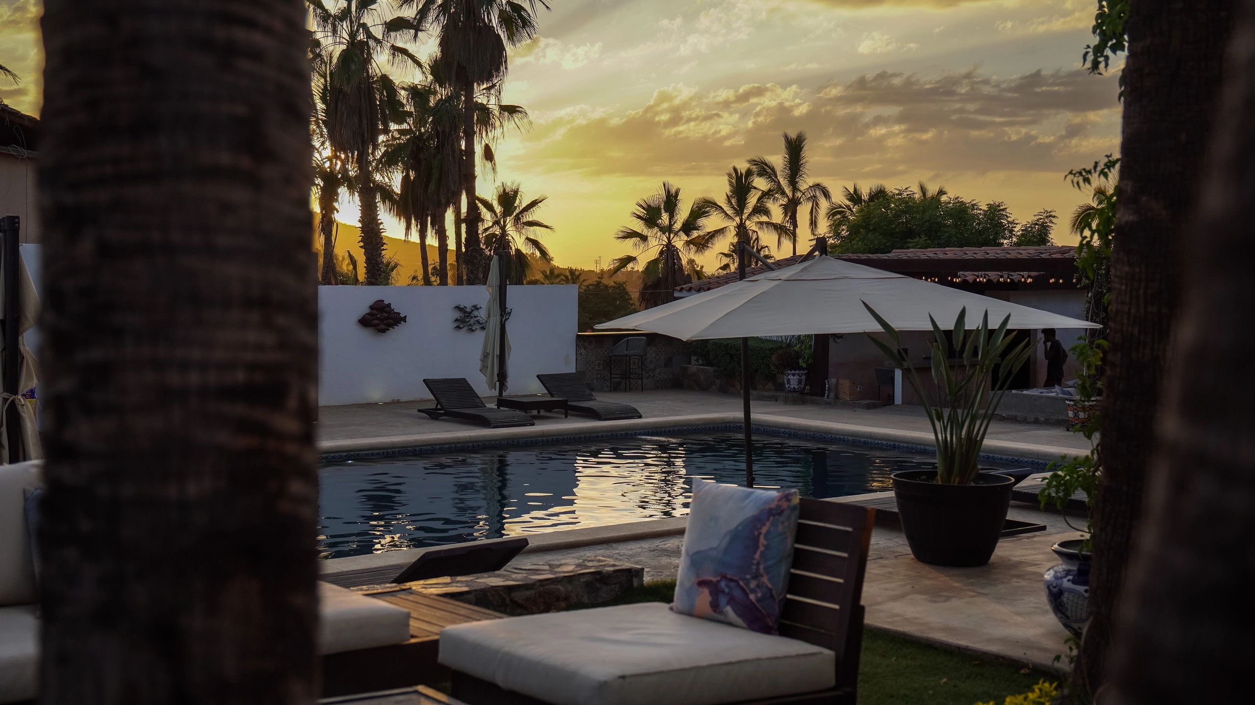 About | Hotel Quinta Santa Rosa