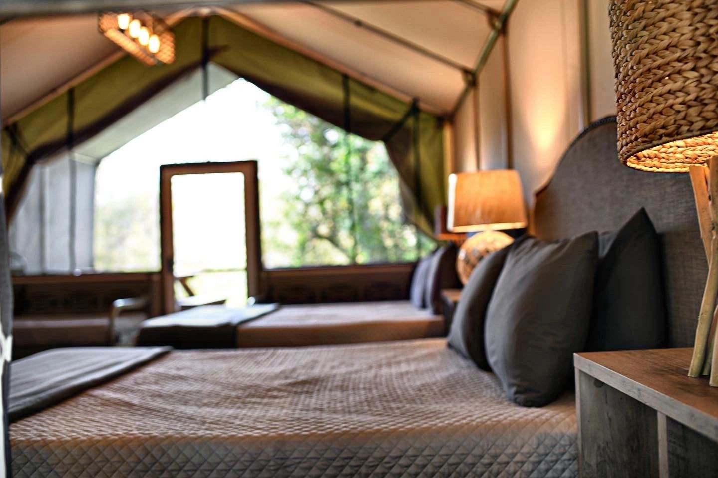 Weekend Glamping Special at Blue River Camp: Escape into Nature!