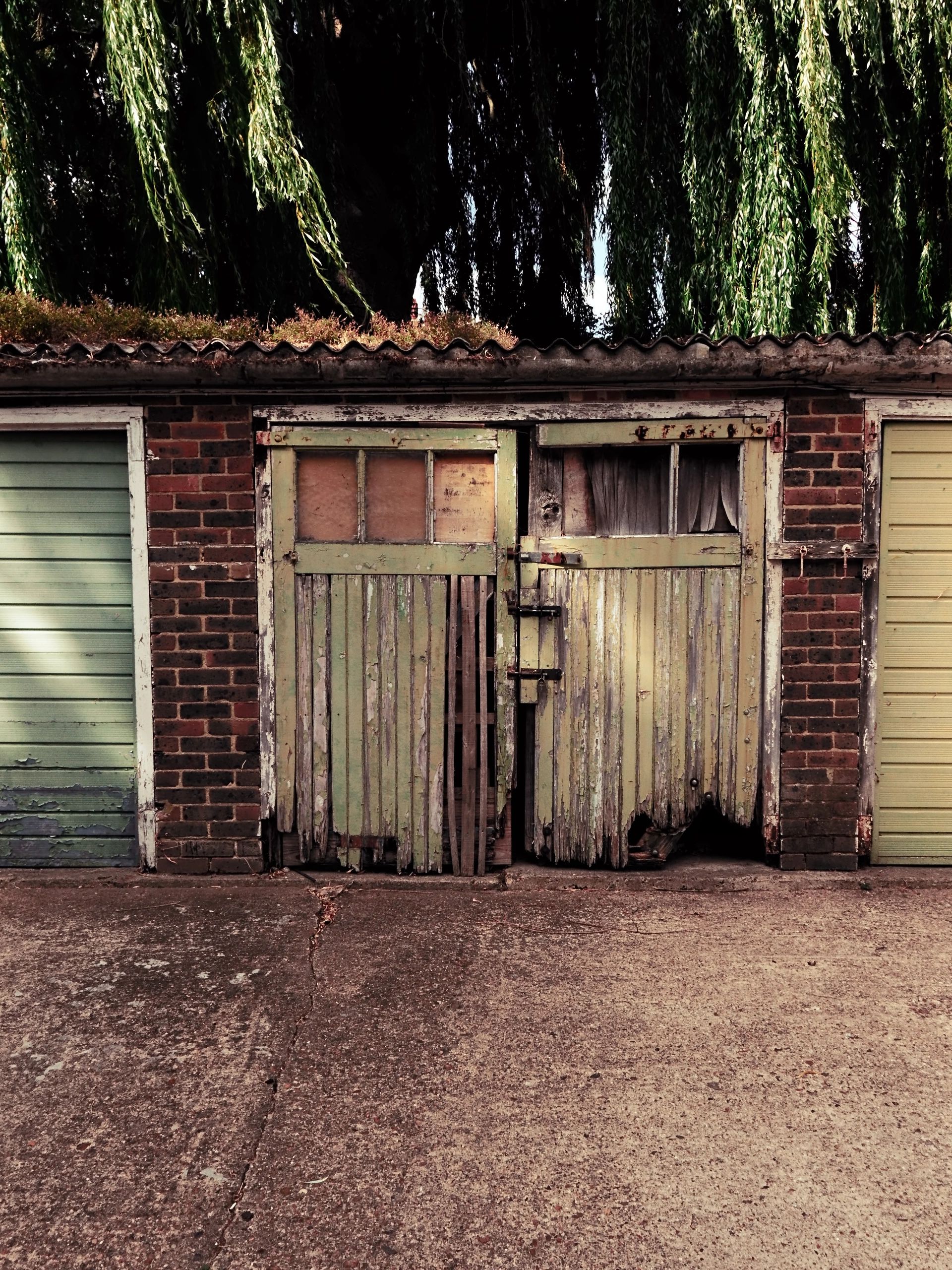 FujiFilm X-HF1 (X Half) - Slideshow x-half example photography