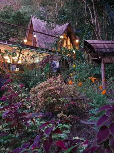 PERMACULTURE | Alhibe Farm