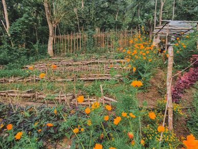 WORKSHOPS | Alhibe Farm