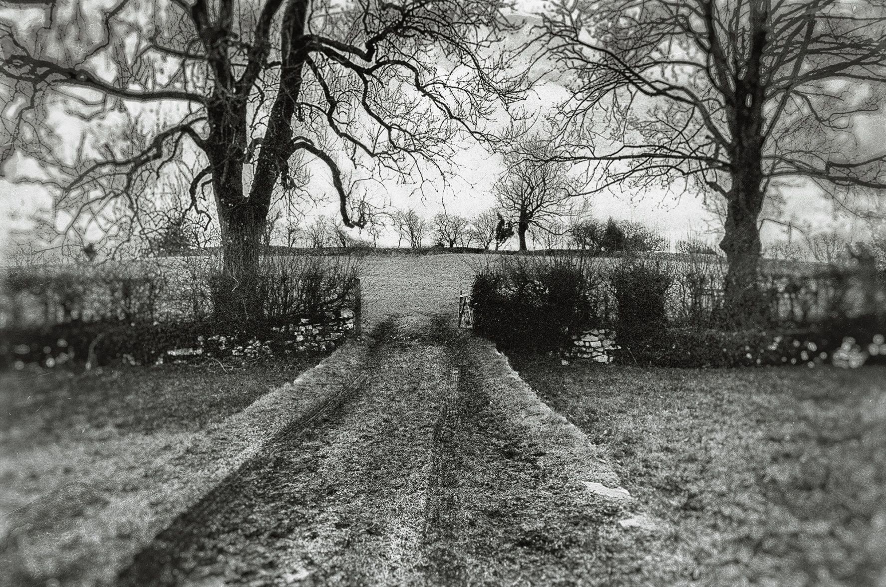 Biography - Janet Murphy Photography