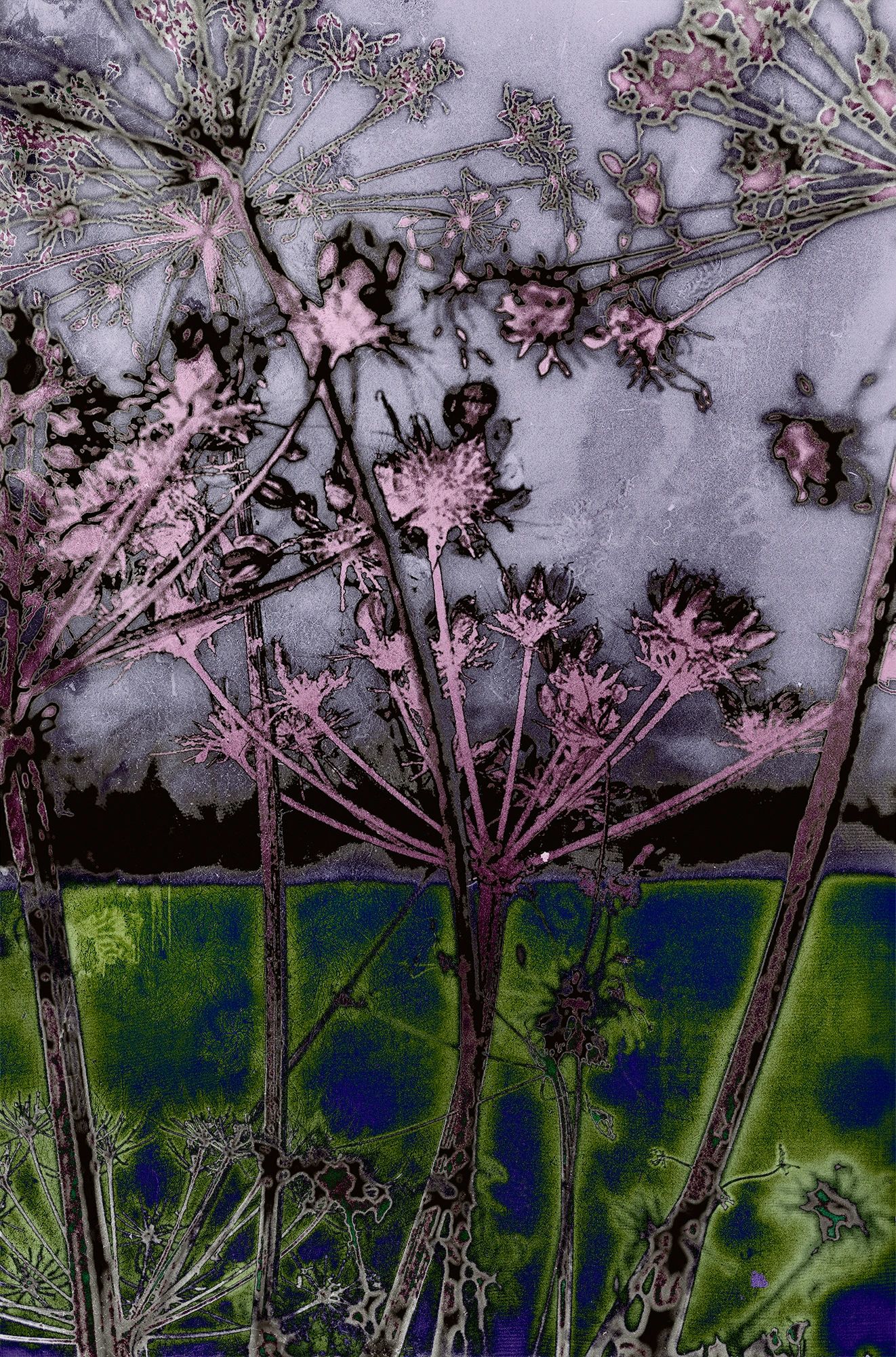 Biography - Janet Murphy Photography