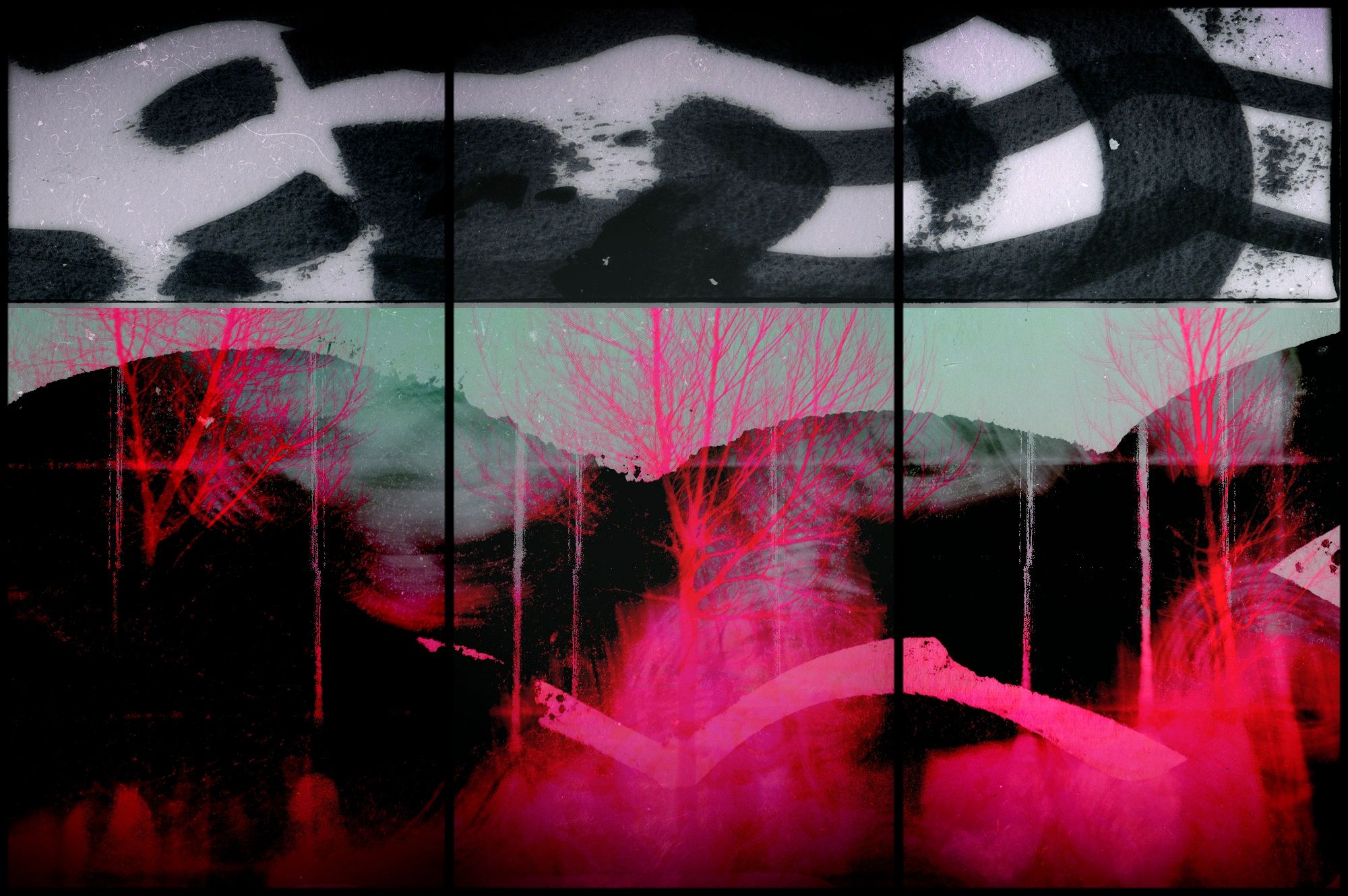 Biography - Janet Murphy Photography