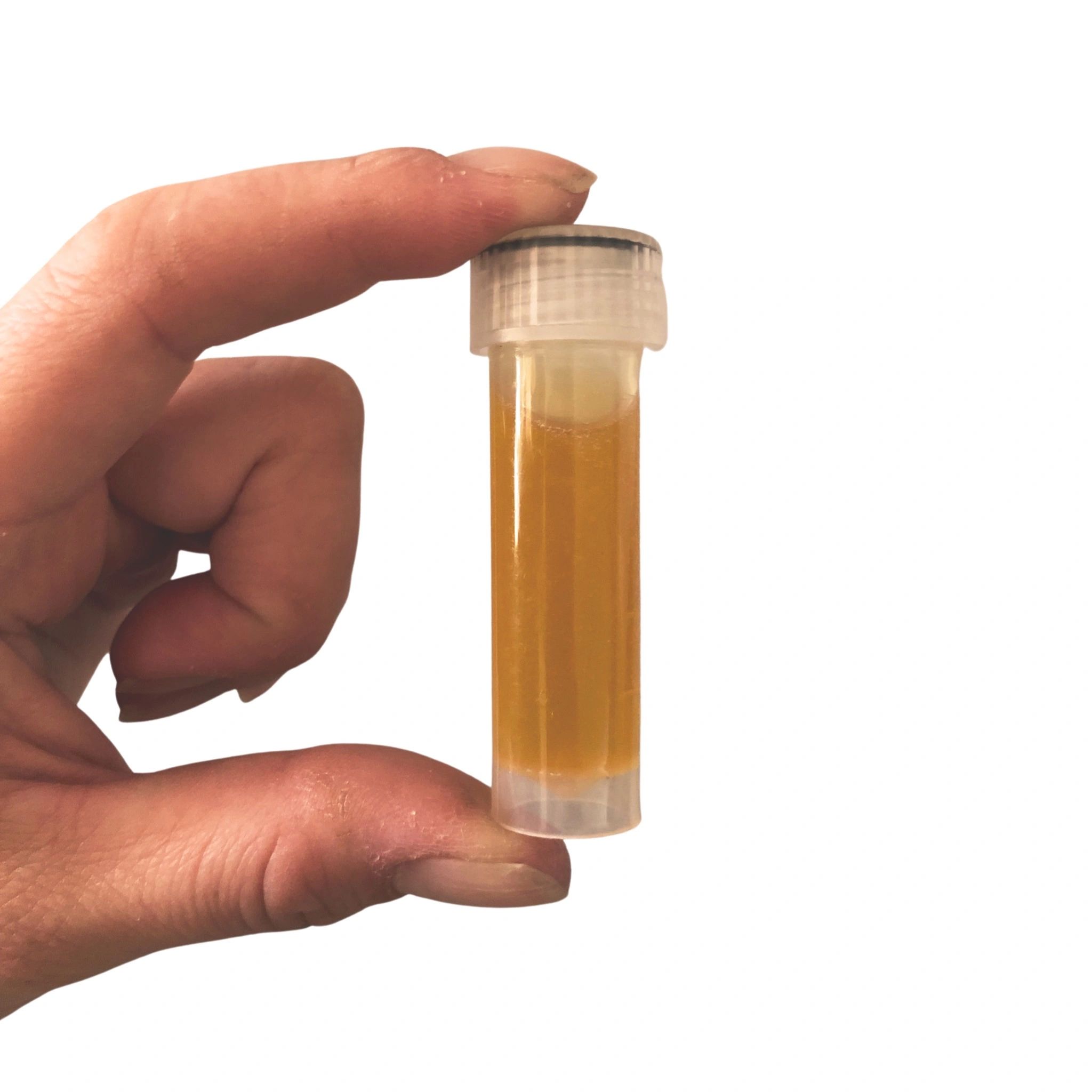 What is Native Stingless Bee Honey?