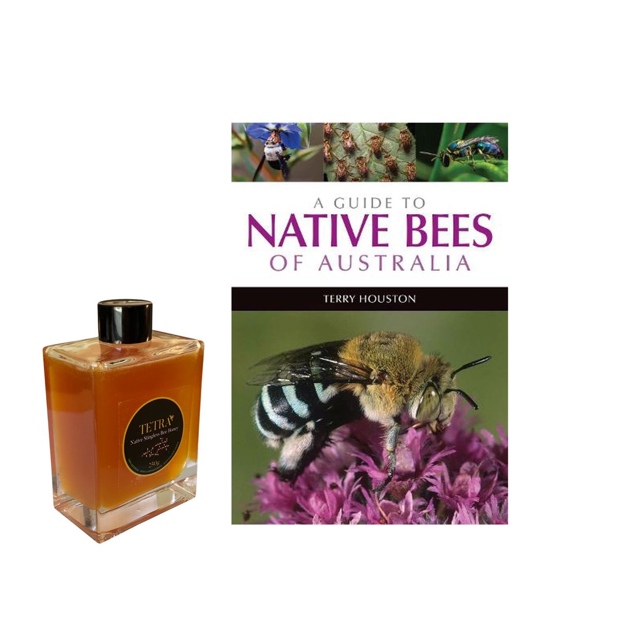 A Guide to Native Bees Book and 250g Honey Combo