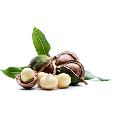 Australian Native Stingless Bee Honey - Tetra Native Bees