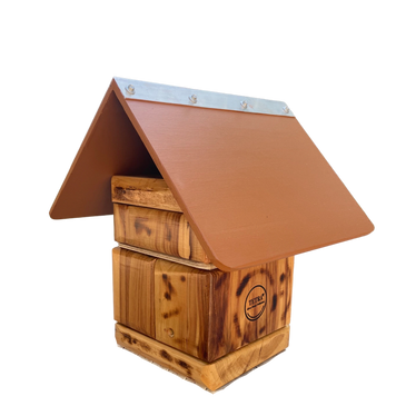 Australian Native Stingless Bee Honey - Tetra Native Bees