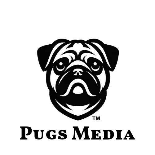 Top Brand Marketing Strategies | Pugs Media