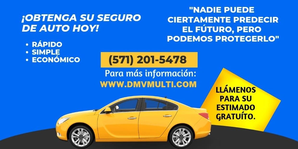 Life Insurance - DMV Multi-Insurance Services LLC