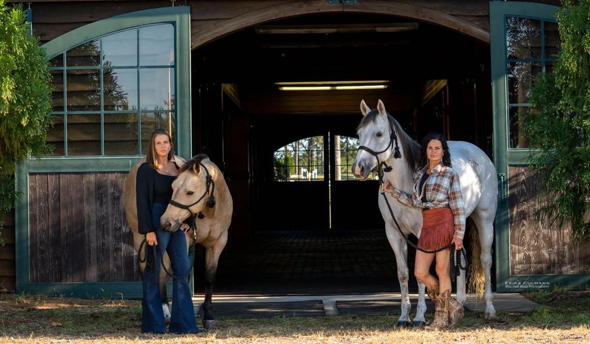 Horses for sale, Horsemanship Clinics, Home of the Southern Belle Classic
