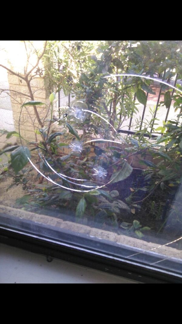 A Grade Glass And Aluminum