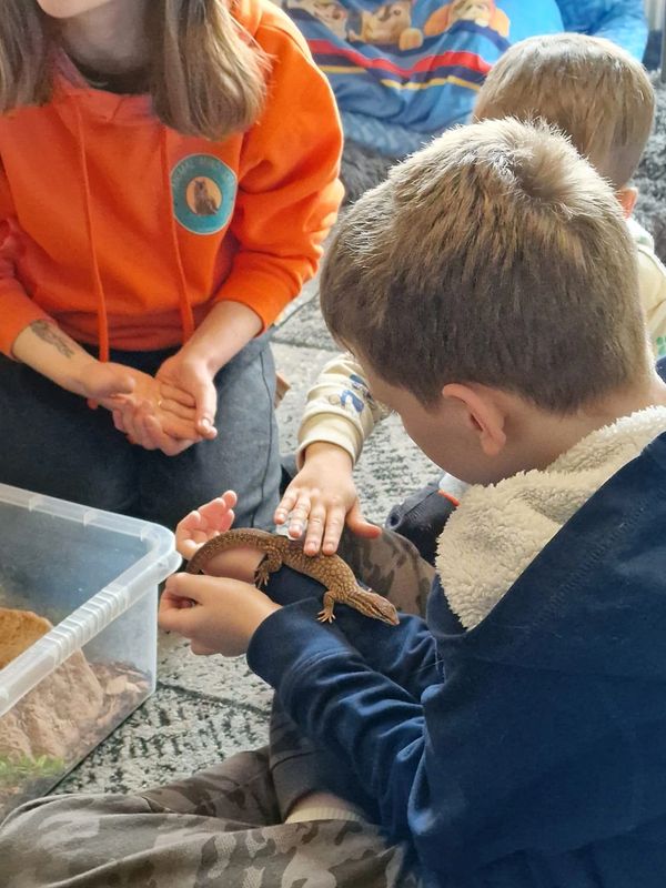 Animal Parties and Therapeutic Animal Interactions - Animal Mind Set