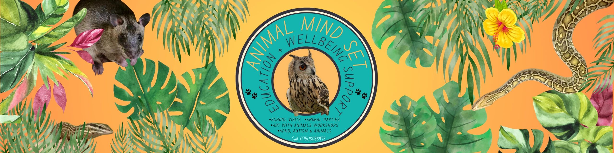 Animal Parties and Therapeutic Animal Interactions - Animal Mind Set
