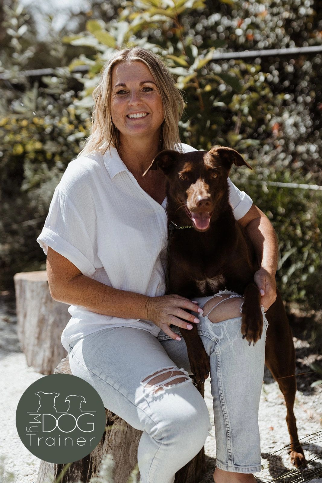 Welcome to My Dog Trainer