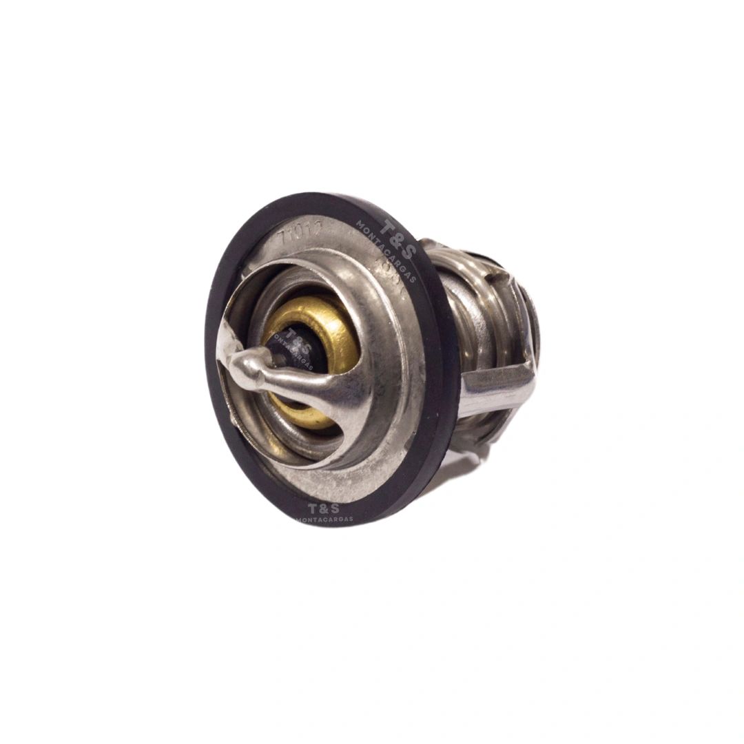 TERMOSTATO MOTOR 4Y ECS NEW