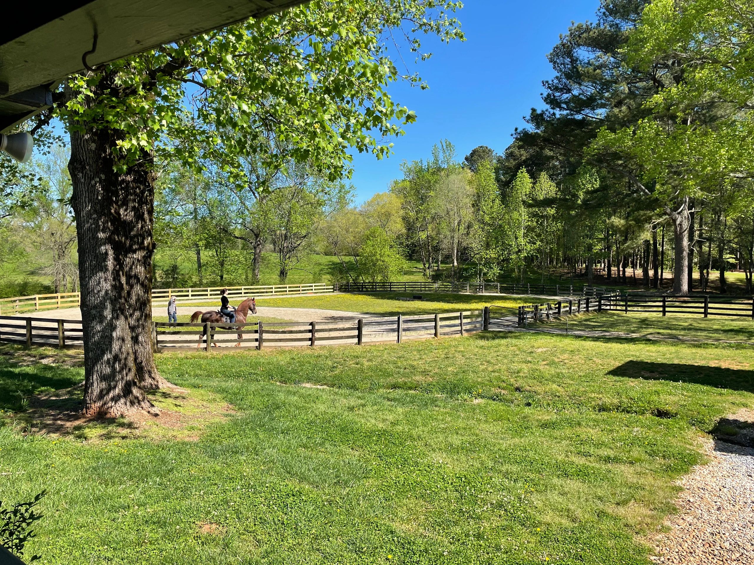 Fairhope Stables - Horses, Horseback Riding, Star Stable, Equestrian