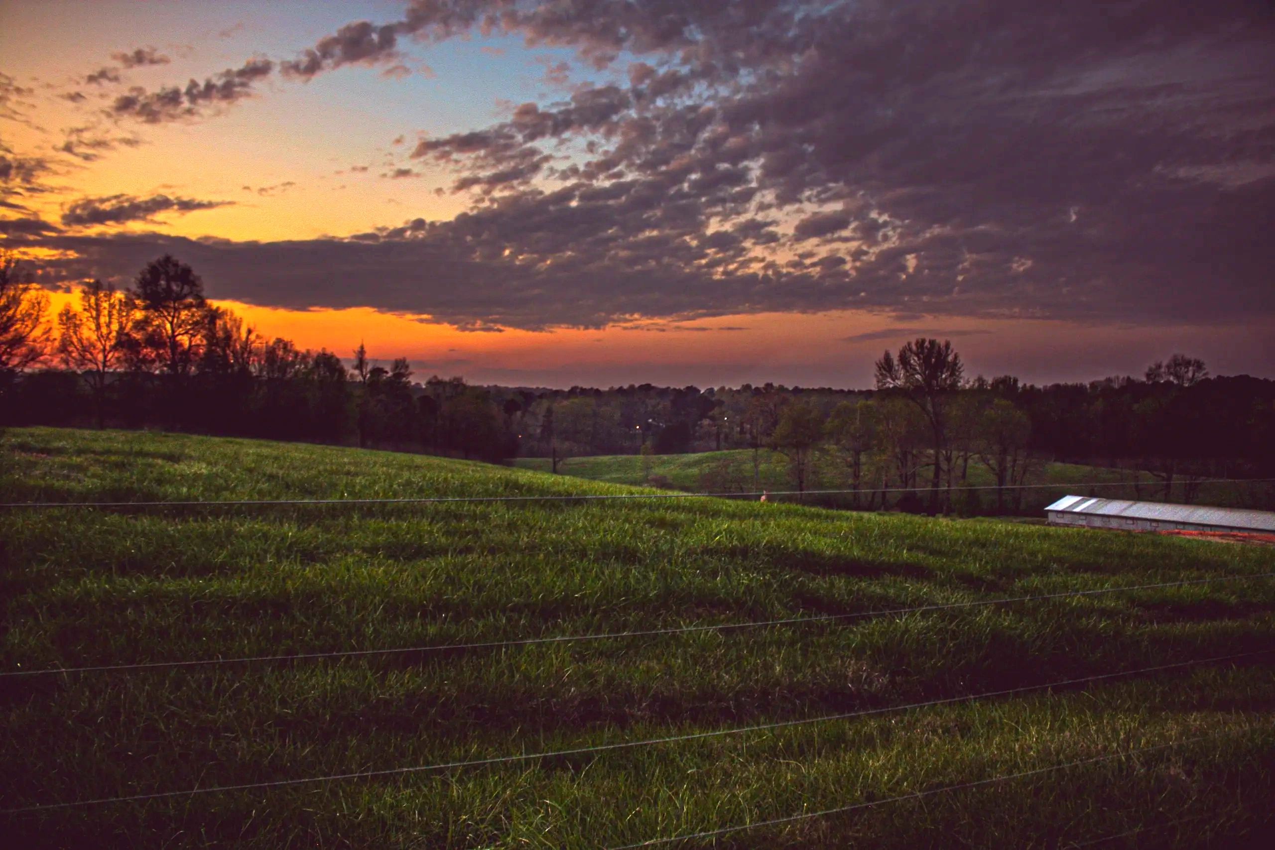 Fairhope Stables - Horses, Horseback Riding, Star Stable, Equestrian